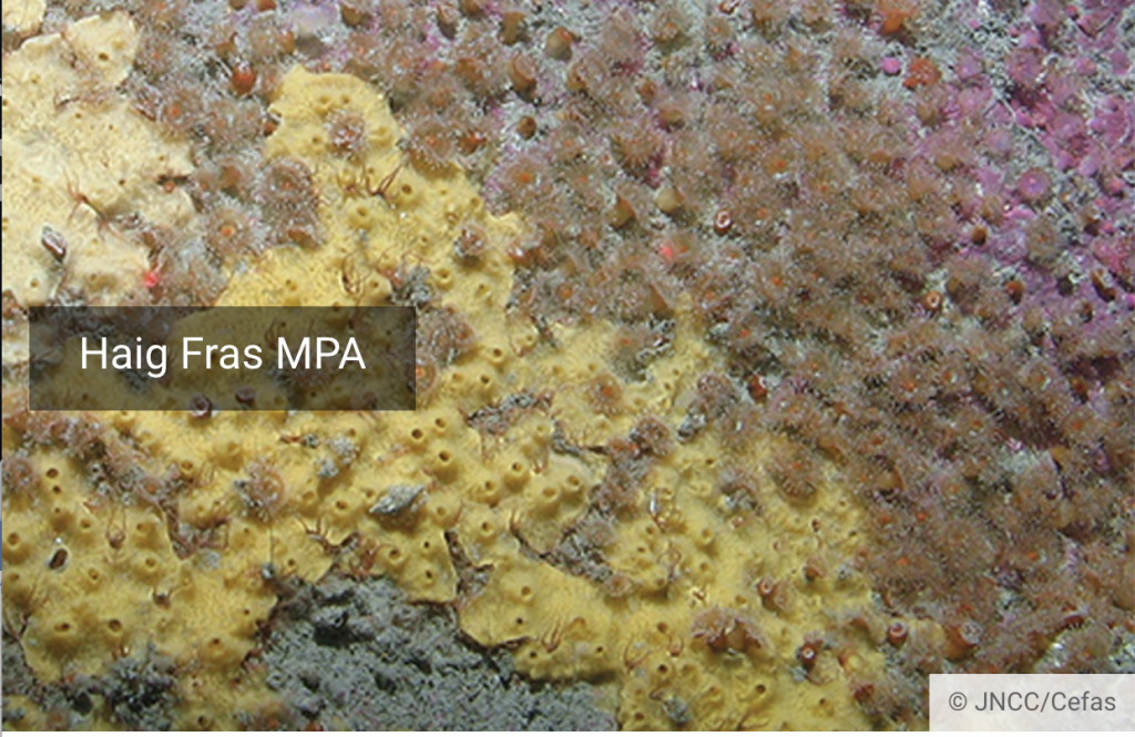 DITTO – Digital Twins of the Ocean - Ditto