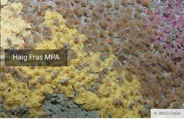 DITTO - Digital Twins of the Ocean