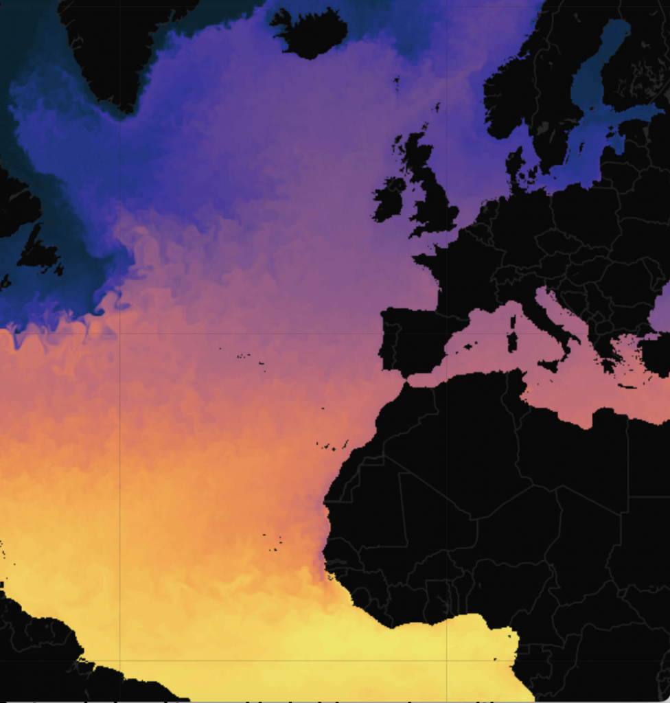 DITTO - Digital Twins of the Ocean